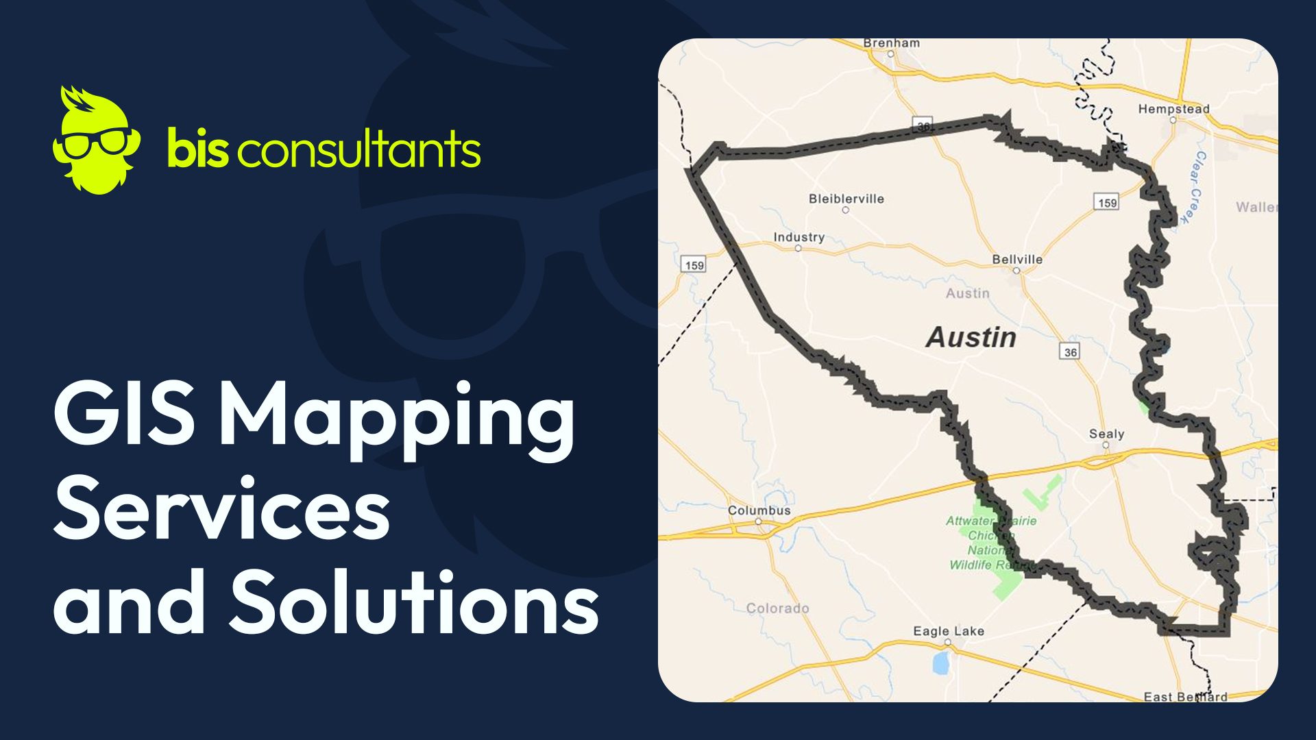 GIS Mapping Services and Solutions | BIS Consultant